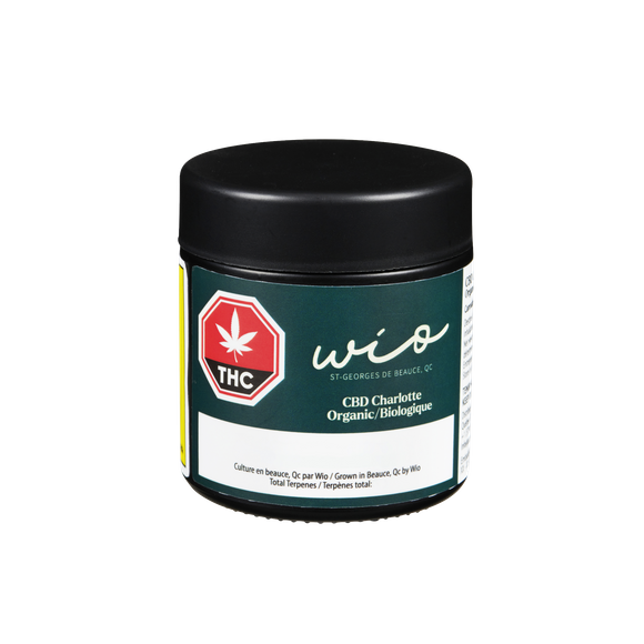 CBD Charlotte Angel Biologique | SQDC