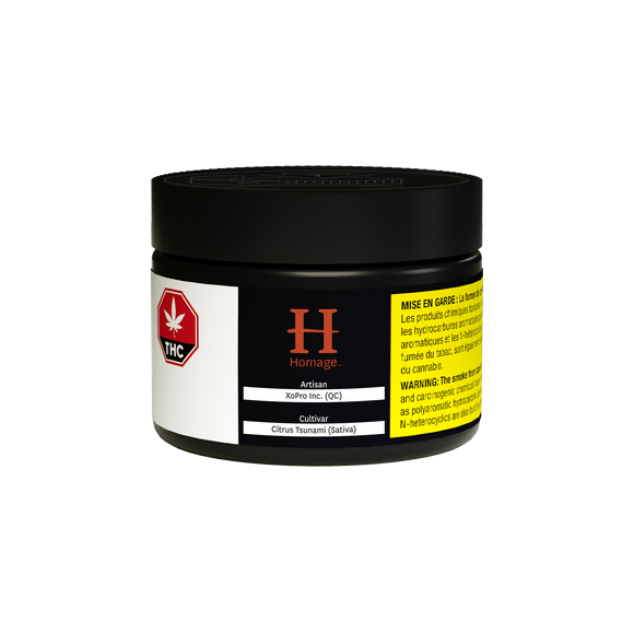 Citrus Tsunami | SQDC